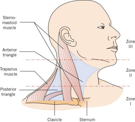 A miraculous outcome of penetrating neck injury - MEDizzy Journal