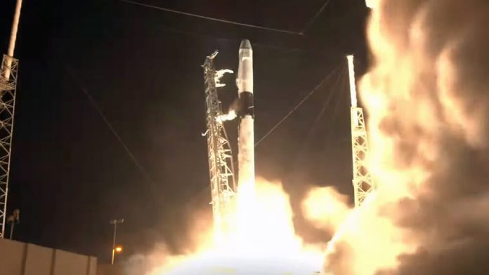 Growing Organs in Space - MEDizzy Journal