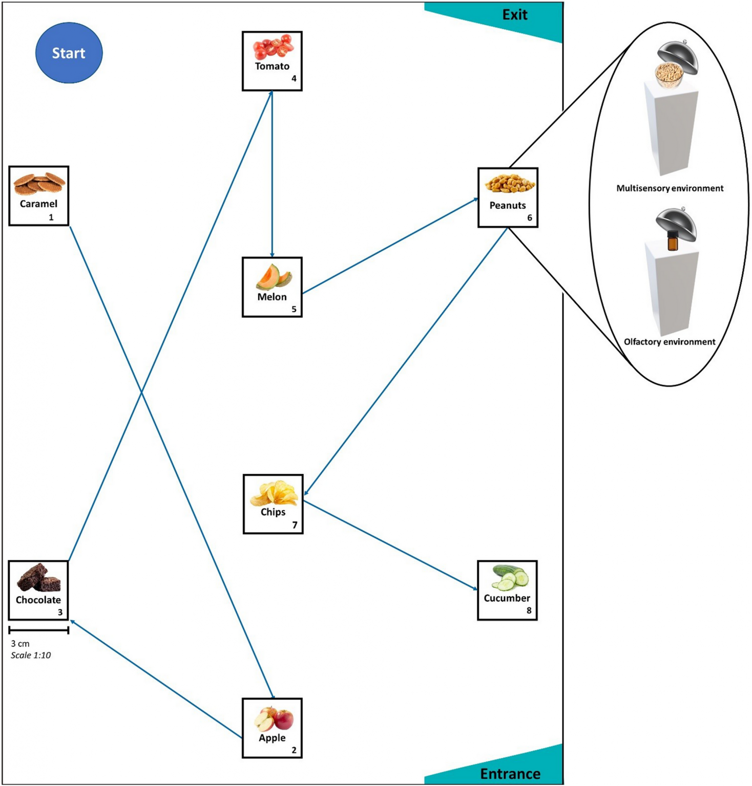 Spatial Memory - How Does it Affect Our Eating Habits? - MEDizzy Journal