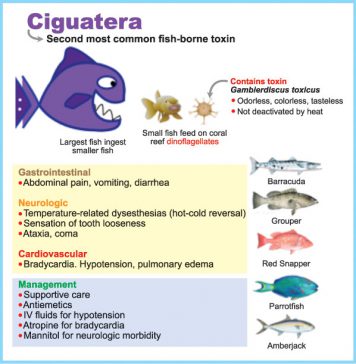 Ciguatera Fish Poisoning After Traveling To Cuba - MEDizzy Journal