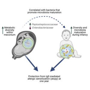 Baby's First Poop Can Help Predict Allergies - MEDizzy Journal