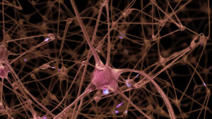 A New Type of Neuronal Communication in the Brain - MEDizzy Journal