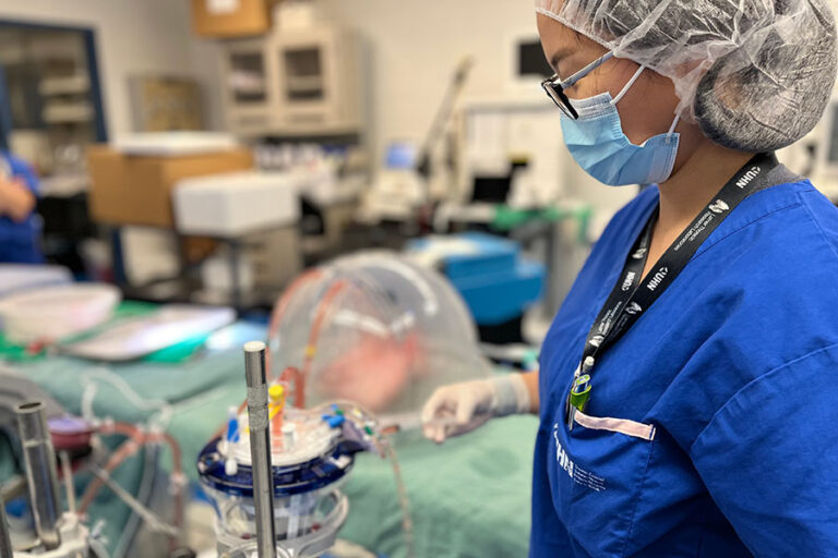 Universal Donor Organs - A Likely Possibility in the Future - MEDizzy Journal