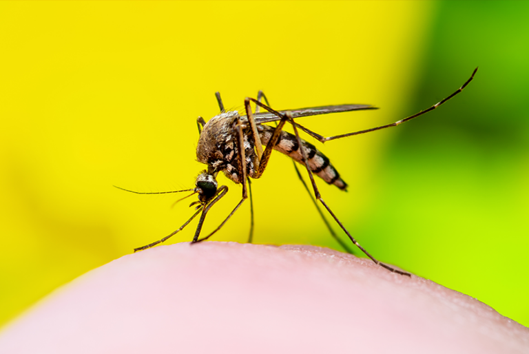 Cygnus Kit: Low-Cost Dengue Diagnosis - MEDizzy Journal