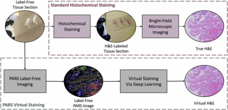 AI-Powered Digital Imaging System for Cancer Biopsy - MEDizzy Journal