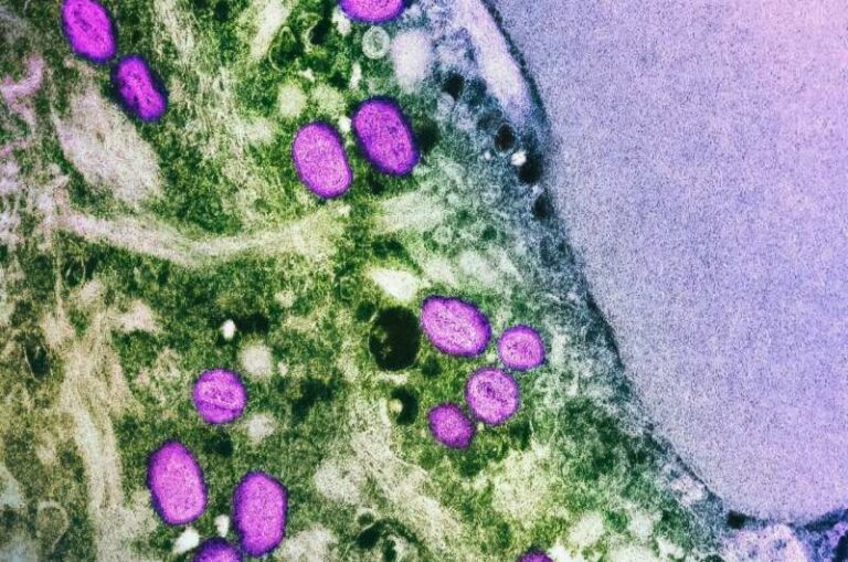 First MPox Test Gets Approved By WHO - MEDizzy Journal