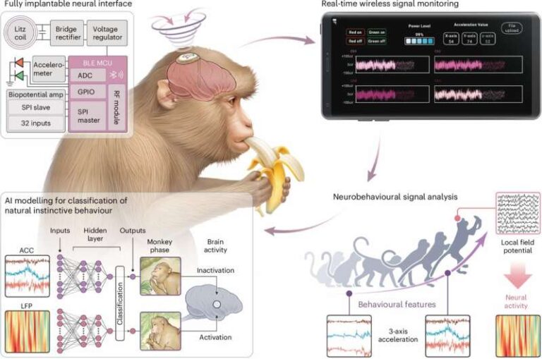 Wireless Brain Neural Signal Recorder - MEDizzy Journal