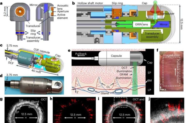 Dual Imaging Capsule for Esophageal Cancer Diagnosis - MEDizzy Journal